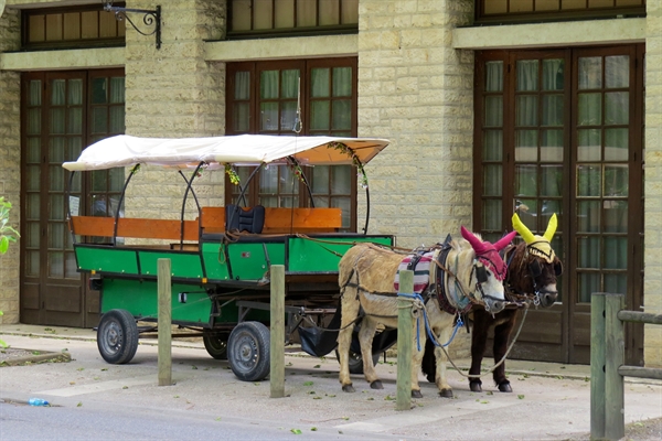 Rebecca Z. Artist 2026 - Domain du Haut Baran